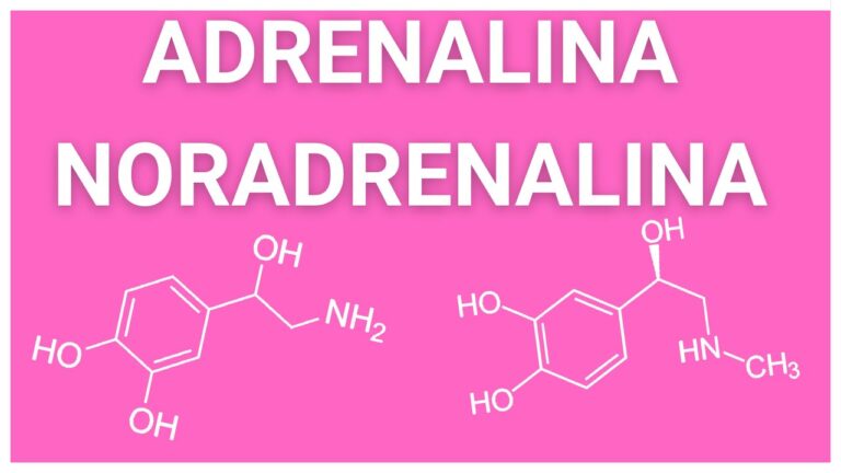 Adrenalina vs. Epinefrina: ¿Son lo mismo? Descubre la verdad detrás de ...