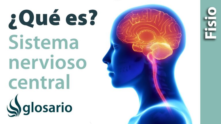 Protegiendo tu Sistema Nervioso Central: Consejos y Prácticas para cuidar tu Salud - Kiret ...