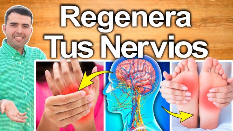 Guía completa: Cómo se recupera un nervio dañado - Consejos prácticos y ...