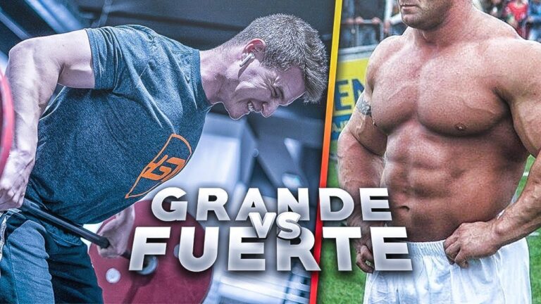 ¿De qué depende la fuerza muscular? Descubre los principales factores ...