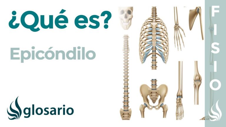 La Guía Completa sobre la Fractura de Epicóndilo Medial del Húmero ...