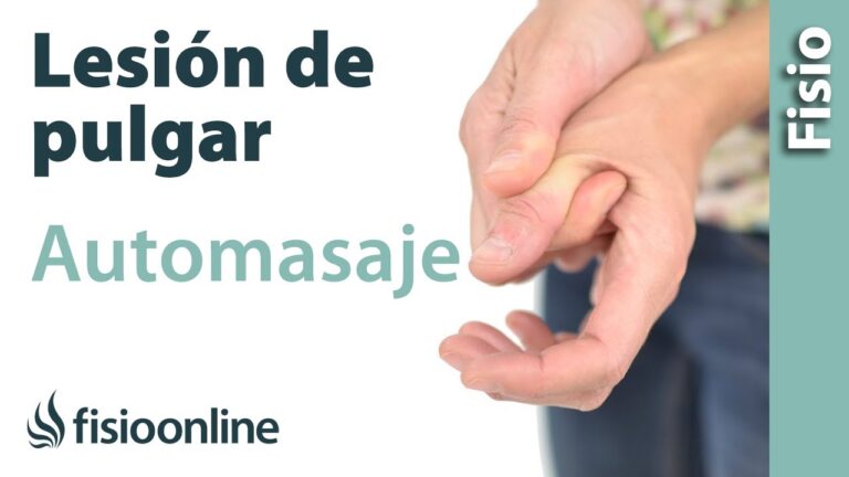 Descubre todo sobre los huesos del dedo gordo de la mano: estructura ...